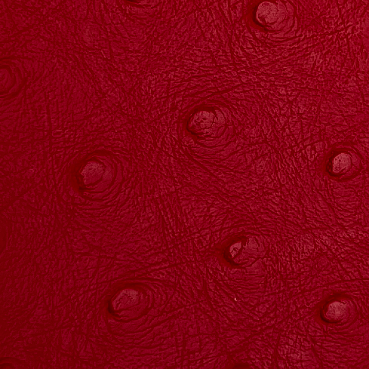 Custom Color Seat Options